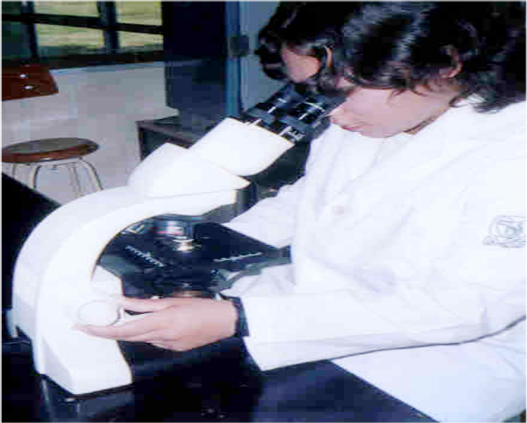 Pruebas y Métodos para el Diagnóstico de Mastitis II - BM Editores