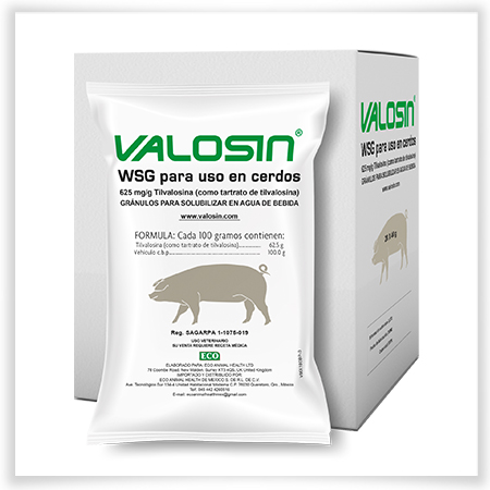 Productos - BM Editores