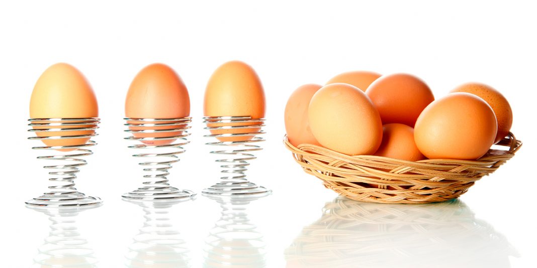 Síntesis del huevo y formación del cascarón - BM Editores