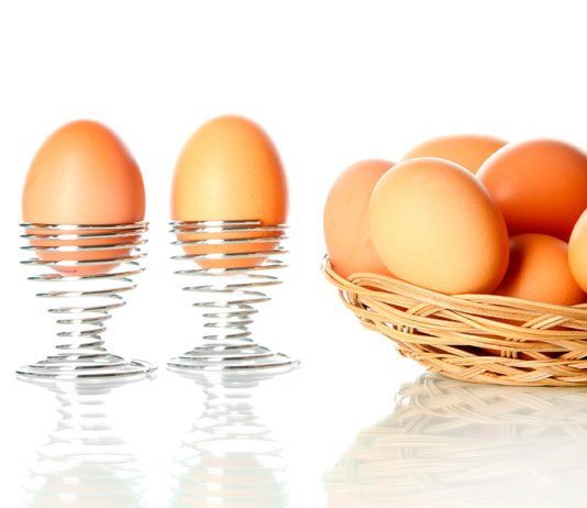 Avicultura - BM Editores