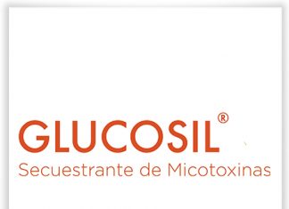 Productos Archive - Página 2 de 43 - BM Editores