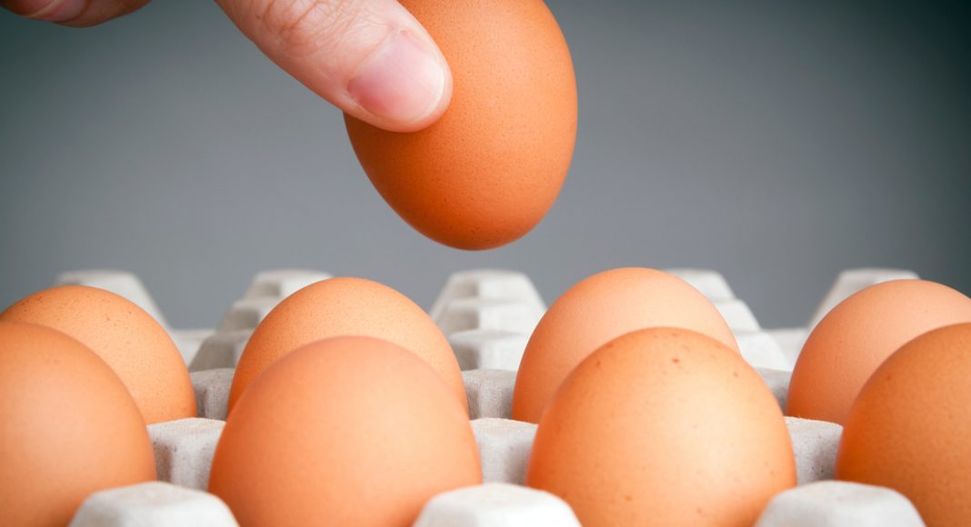 Herramientas Prácticas para la Clínica Avícola I - BM Editores