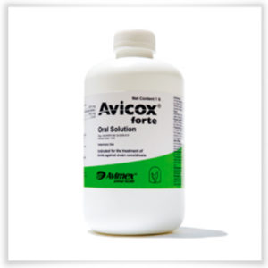 Avimex - BM Editores