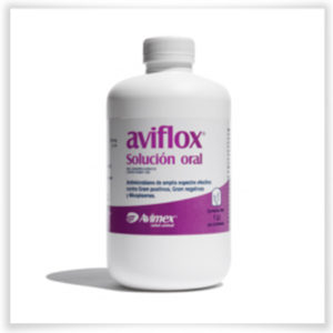 Avimex - BM Editores