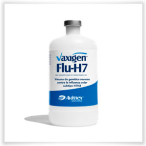 Avimex - BM Editores