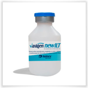 Avimex - BM Editores