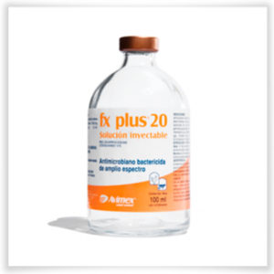 Avimex - BM Editores