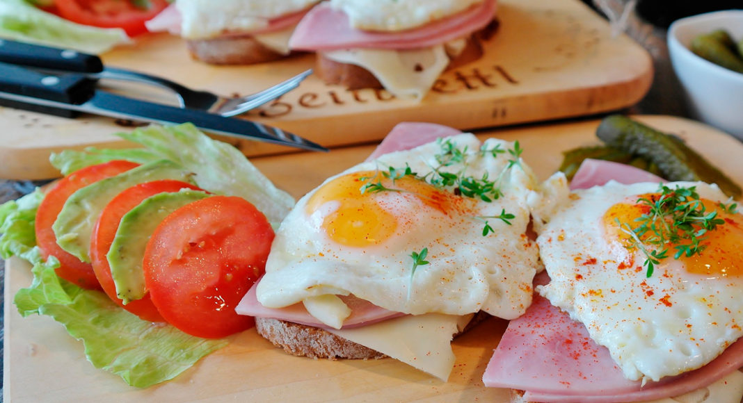 Control de la Colibacilosis Aviar - BM Editores