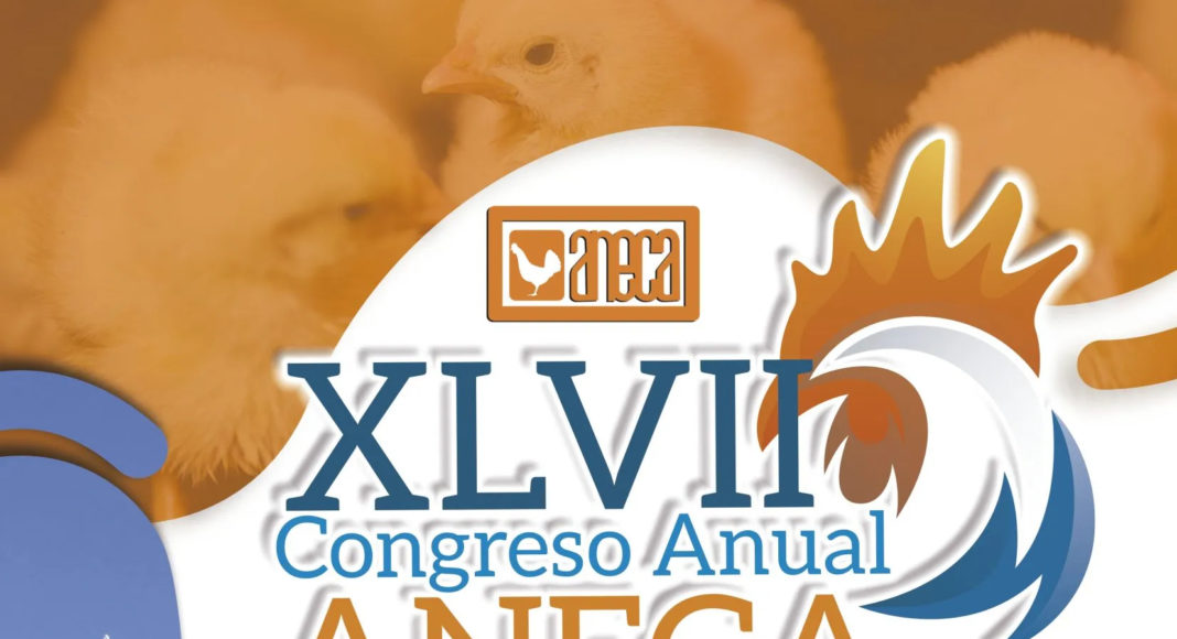 Avicultura - BM Editores