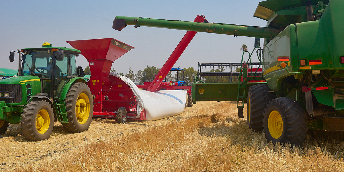 Silos bolsa, alternativa de almacenamiento de granos para pequeños ...
