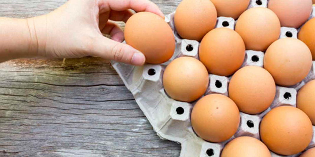 El valor nutrimental del huevo - BM Editores