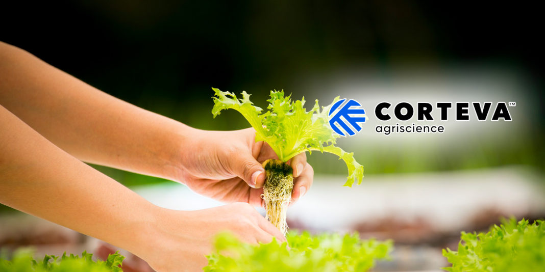 Programa de Becarios 2022 de Corteva Agriscience - BM Editores