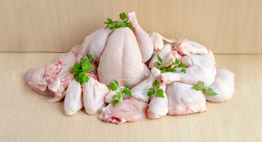 Cobb 500 - BM Editores