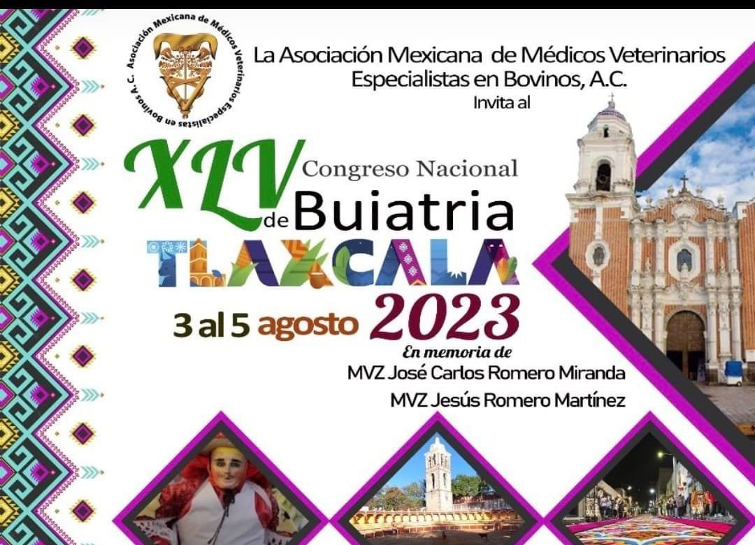 Eventos - BM Editores