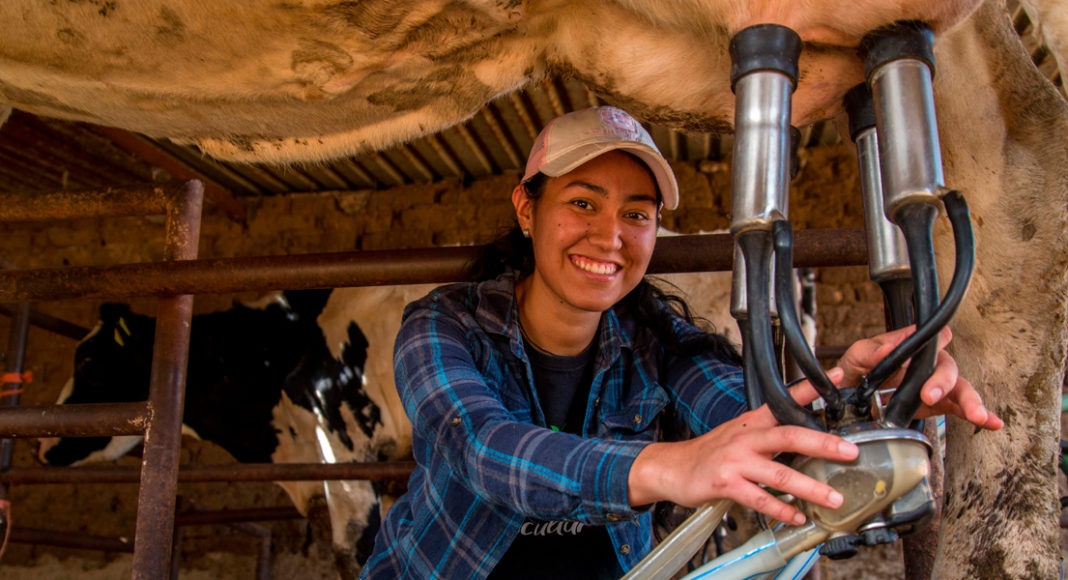Consumo y posicionamiento de la proteína animal - BM Editores