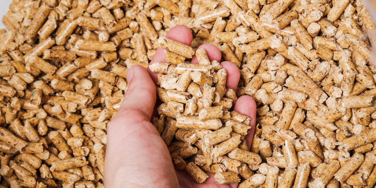 Interpretación de análisis bromatológicos de los alimentos balanceados ...