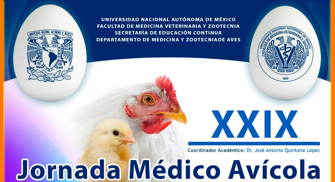 Avicultura - BM Editores