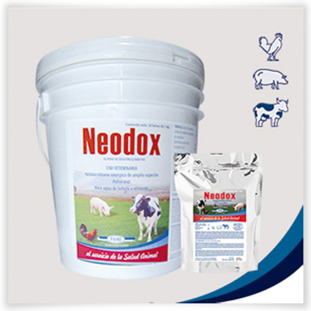 Neodox - BM Editores