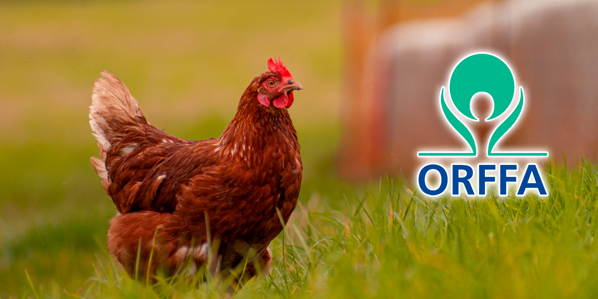 ORFFA “su aliado en nutrición animal”, se fortalece con su nuevo ...