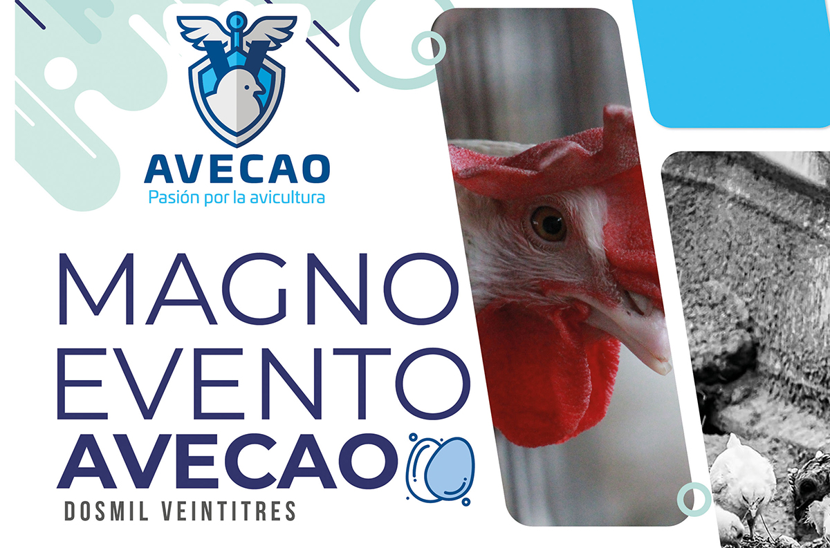 Eventos - BM Editores